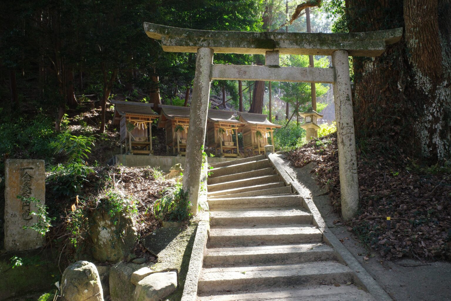Shinto Rituals Explained: How to Visit a Shrine in Japan - Shikoku ...