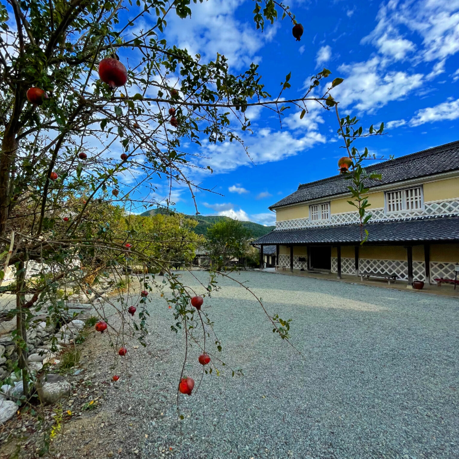 Adventure Travel in Japan: Discover Shikoku